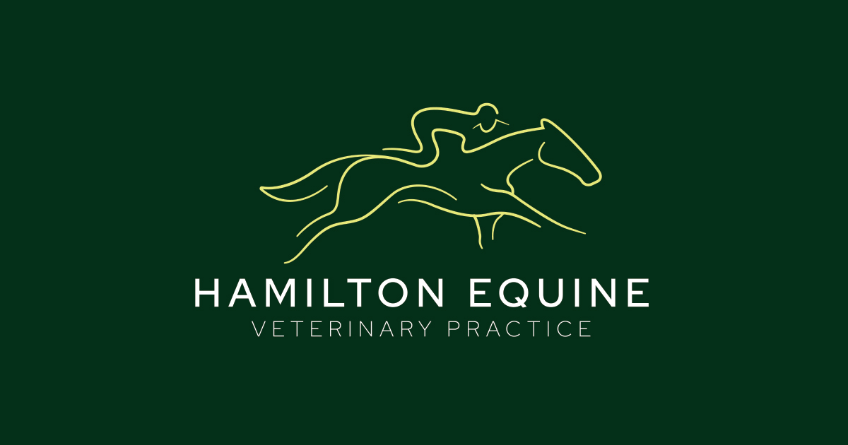 Performance Horses | Hamilton Equine Veterinary Practice